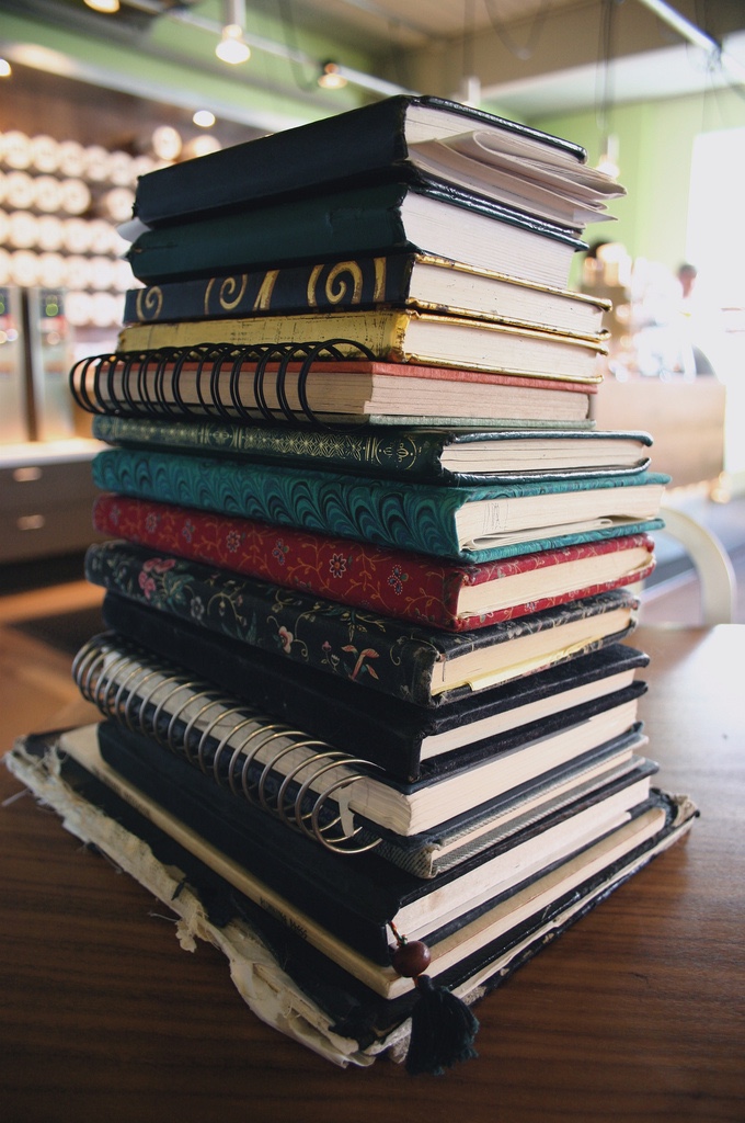 Love Diaries in A Library – rike jokanan