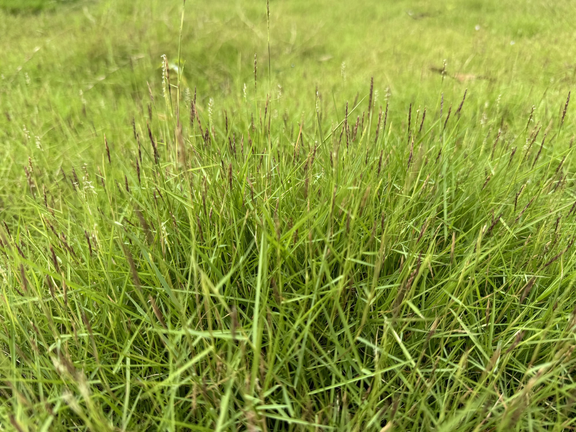 Fresh Air – rike jokanan