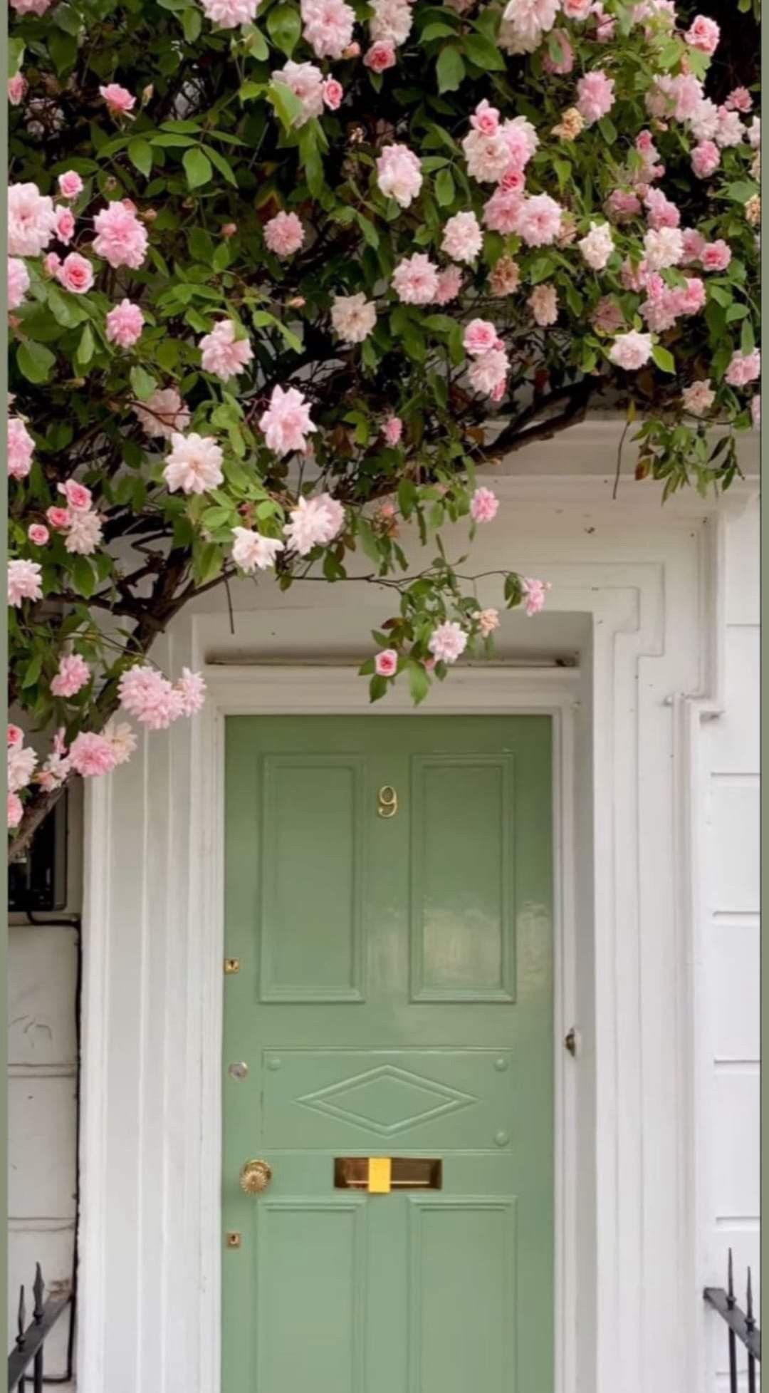 Private – rike jokanan