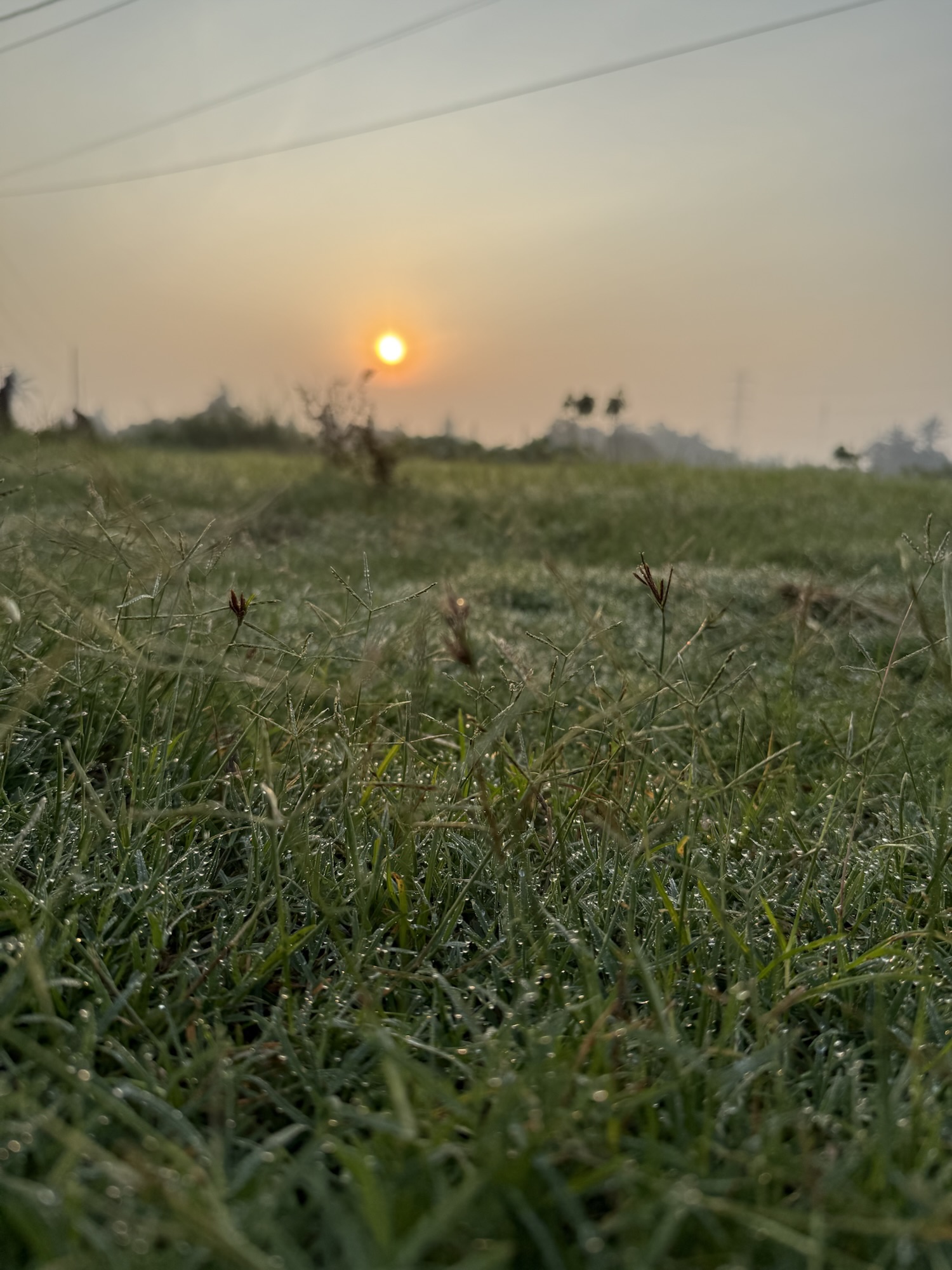 Morning Walk – rike jokanan